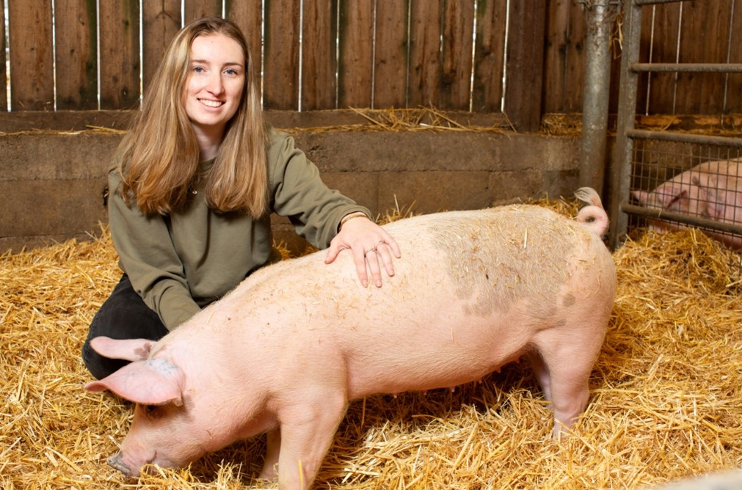 Présentation des membres de l'équipe CIWF France | CIWF France